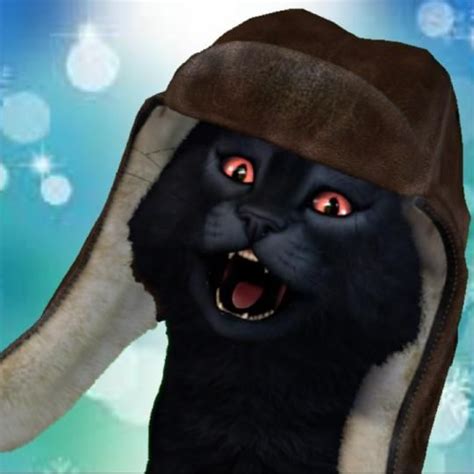 🔥😻 Litty Kitty Kitty Community Broadcast