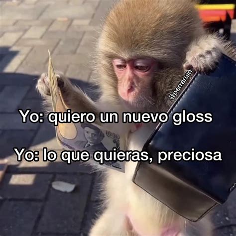 900 Ideas De Momasos Xd Para Guardar Hoy Memes Divertidos Memes Graciosos Meme Gracioso Y Más