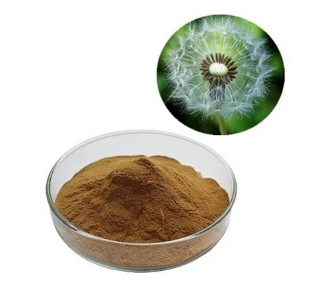 Dandelion Leaf Extract At ₹ 900kg In Indore Id 2853262748488