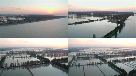 航拍高淳蟹塘大闸蟹养殖基地固城湖螃蟹视频素材下载编号7117522光厂vj师网