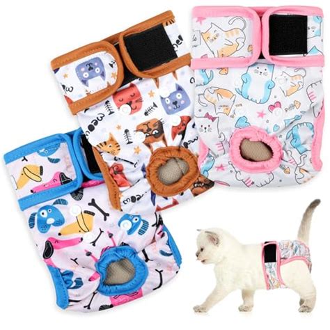 Cat Diapers The 15 Best Products Compared Wild Explained