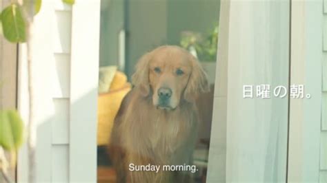 Why Havent I Seen This Amazon Japan Commercial Ye Tumbex