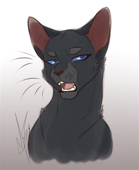 Crowfeather Warrior Cats