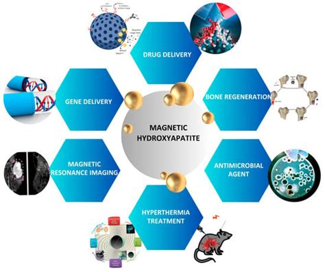 Magnetic Hydroxyapatite Nanoparticles In Regenerative Medicine And