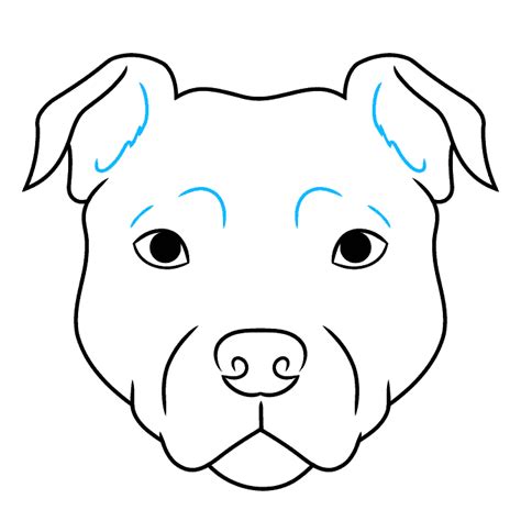 How To Draw A Pitbull Face Really Easy Drawing Tutorial