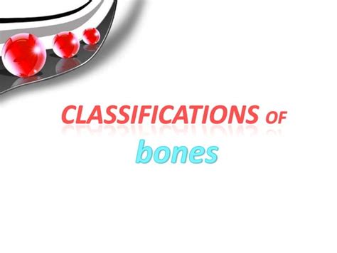 Bones Pptx