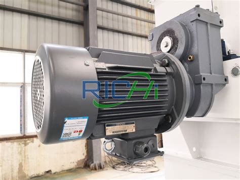 Factory Supply Bucket Elevator Conveyor Pellet Machinepellet Millfeed Extruder