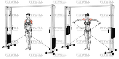 Cable Lateral Raise Exercise Guide Video Techniques Benefits How To Muscles Worked Tips