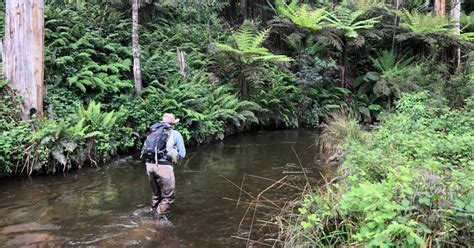 How To Nymph Fish A Complete Beginners Guide