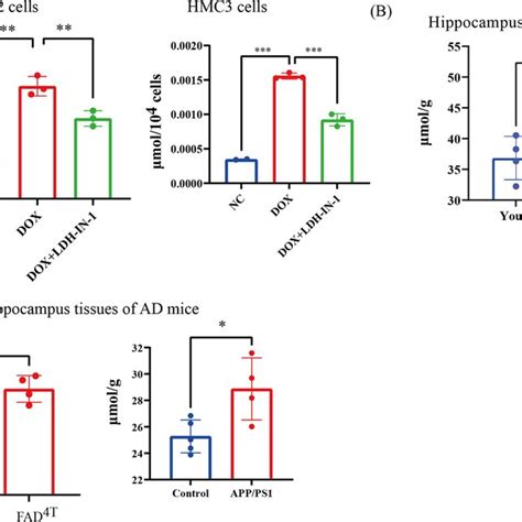 The Concentration Of Lactate Is Elevated In Senescent Microglia And Download Scientific Diagram