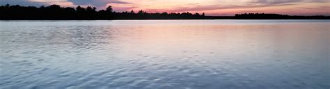 Scientific Interests And Experience Michael C Hoffert