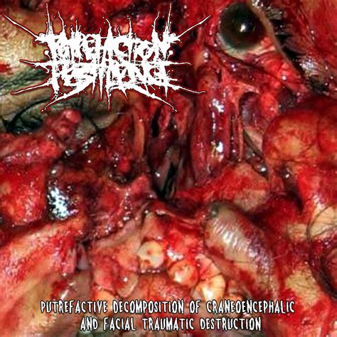 Putrefaction Pestilence Putrefactive Decomposition Of