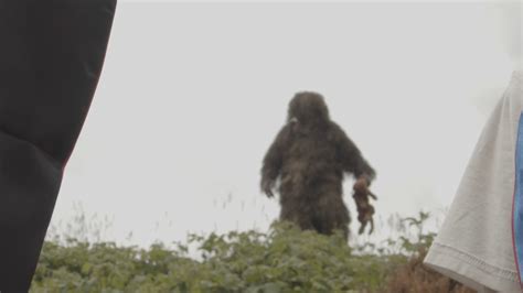 Momo The Monster Proof