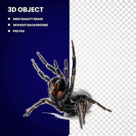 Premium Psd 3d Black Mouse Spider
