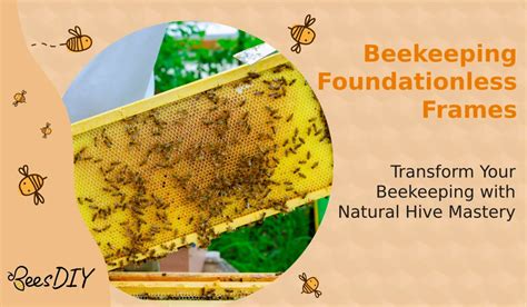 Beekeeping Foundationless Frames Transform Your Beekeeping With