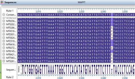 Megalign Pro Sequence Alignment Software Dnastar