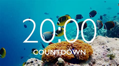 20 Minute Timer With Relaxing Music And Alarm 🎵 ⏰ Youtube