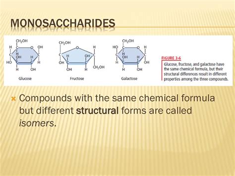 Foundations Of Biology Ppt Download