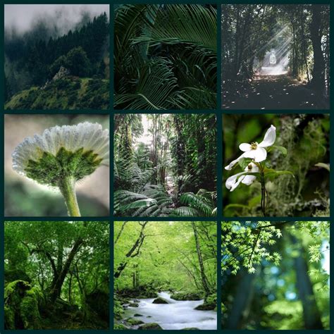 Moodboards — Green Nature Forest Agender Moodboard For
