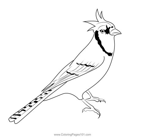 Toronto Blue Jays Logo Coloring Page Free Printable