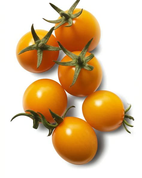 Sun Gold Tomato Emory Market Gardens Shop Emory Market Gardens