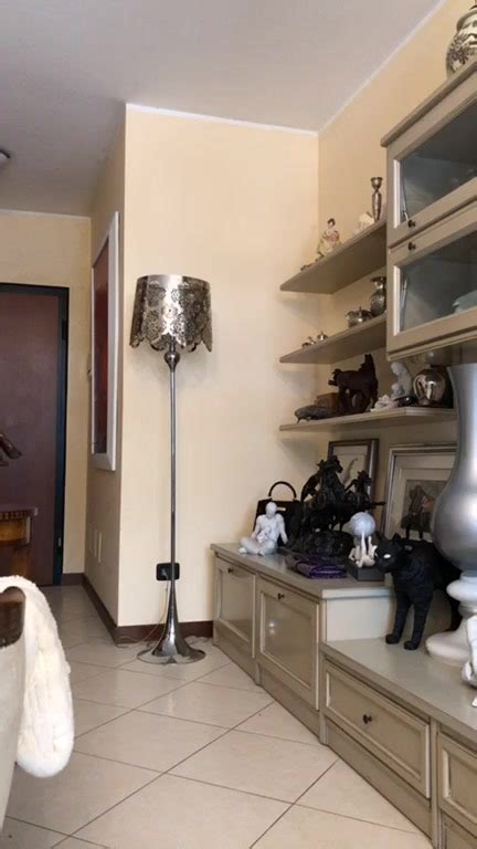 Nora Cloud Modeling Was Live By Nora Cloud Modeling