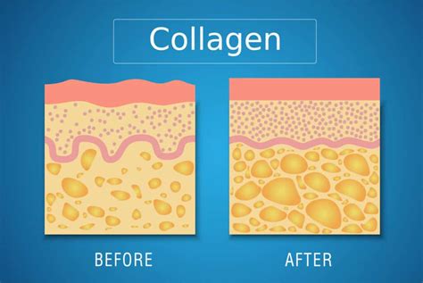 Youtheory Collagen Review (UPDATE: 2023) | 16 Things You Need to Know