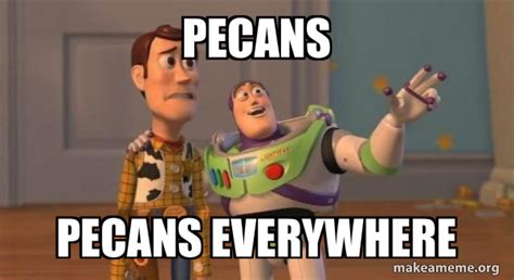 Pecans Pecans Everywhere Buzz And Woody Toy Story Meme Meme Generator