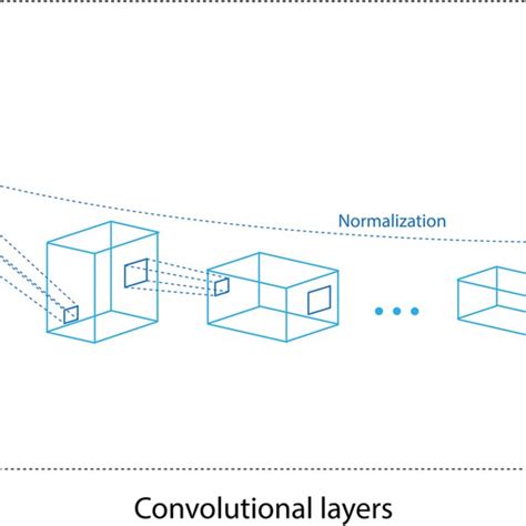 Model Architecture Overview Multiphase Ct Or Mr Images As Well As
