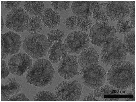 Graded Radiation Super Macroporous Silicon Dioxide Nanosphere And Preparation Method And