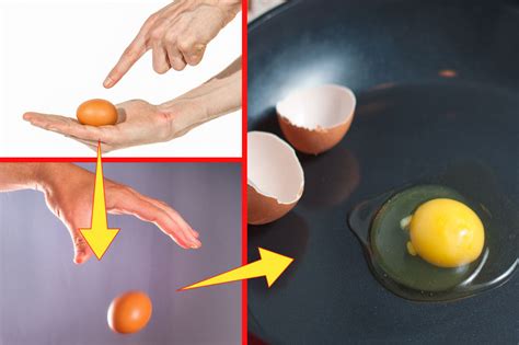 Simple And Smart Egg Cracking Hack That You Wished You Already Knew Factspedia