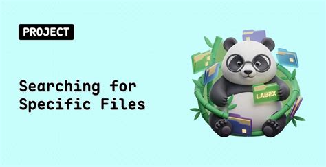 Project Mastering File Searching Discover Powerful Techniques Labex