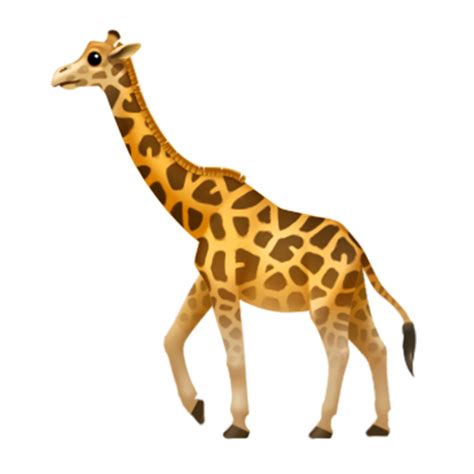 Giraffe Clipart Pngs