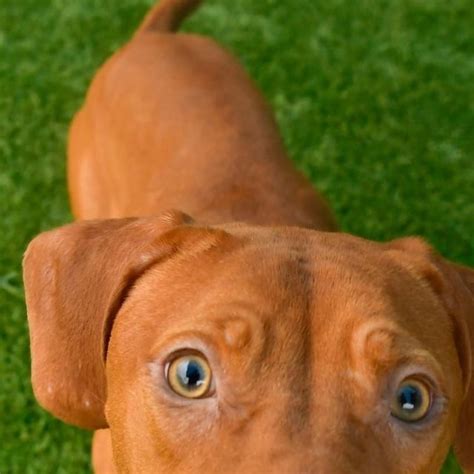 Meet Mandy A Skilled And Eager Learner