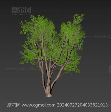3d游戏树模型树木模型模型下载 摩尔网cgmol