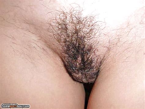 Monicas Hairy Beaver Porn Pictures Xxx Photos Sex Images 1708130 Pictoa