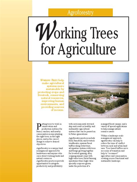 Working Trees Pdf Agriculture Soil