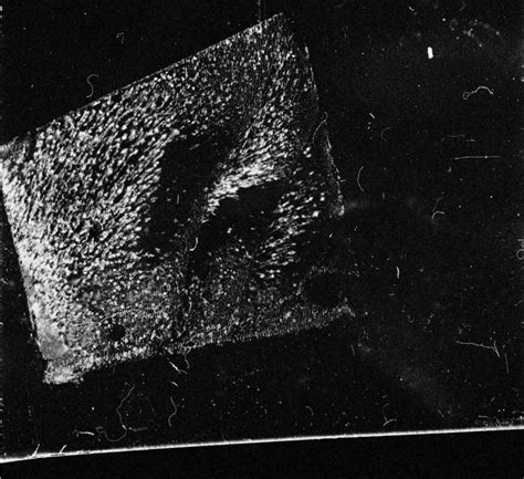 Negr Negr ПРОЕКТ