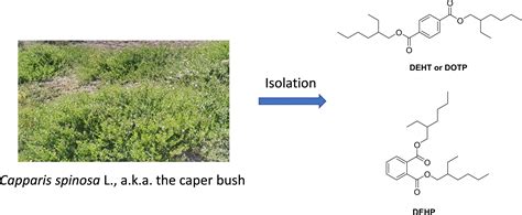 Isolation Of Two Plasticizers Bis 2‐ethylhexyl Terephthalate And Bis 2‐ethylhexyl Phthalate