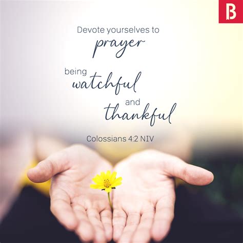 Colossians 42 Niv Bible Portal