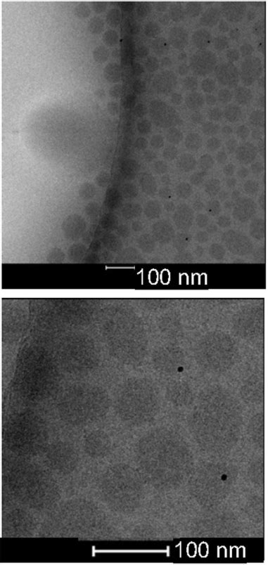 Method Validation Service Mtoz Biolabs