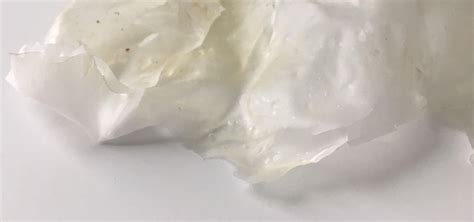 Innovative Corn Starch Bioplastic