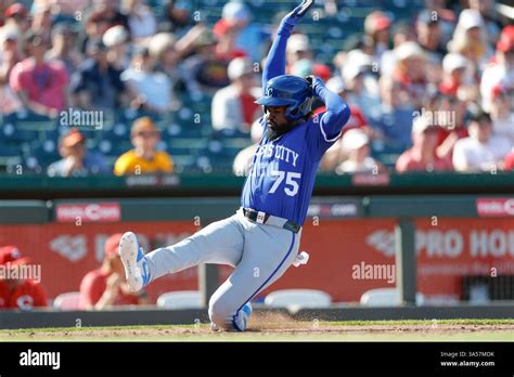 Goodyear Az Usa Kansas City Royals Outfielder Diego Hernandez 75