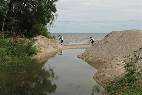 Sensitive Habitat Inventory And Mapping Native Plant Solutions