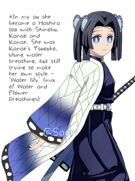 Aoi Kanzaki Water Hashira Бабочки Миниатюрные книги Фан арт