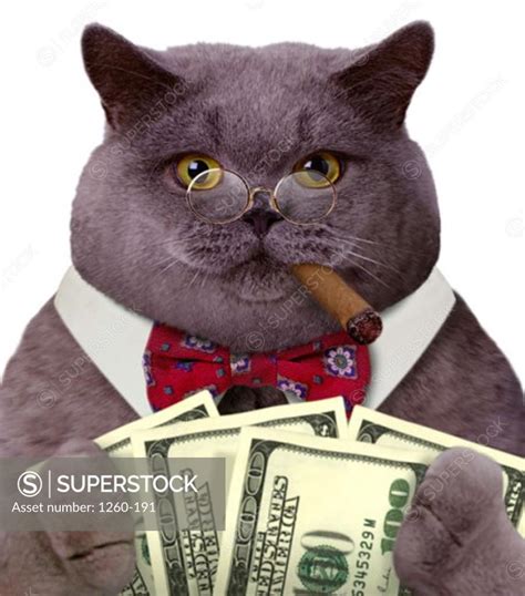 Close Up Of A Fat Cat Smoking A Cigar Wearing A Bow Tie And Eye Glasses