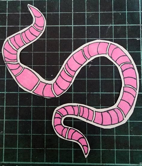 Worm By Fossilstyler On Deviantart