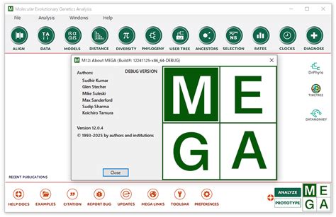 Mega Molecular Evolutionary Genetics Analysis Software