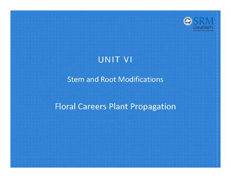 Stem And Root Modifications Unit Vi Stem And Root Modifications
