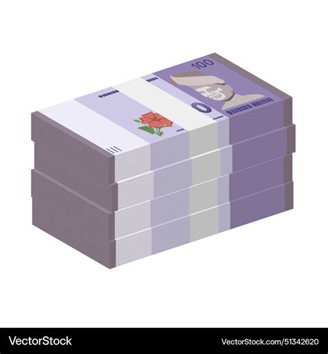 Malaysia Ringgit Bundle Banknotes Money Stack Vector Image